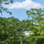 Visit | Hunt Valley Towne Centre
